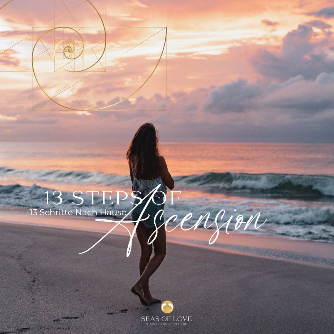 Programme - Seas of Love - Sophie&Wanja