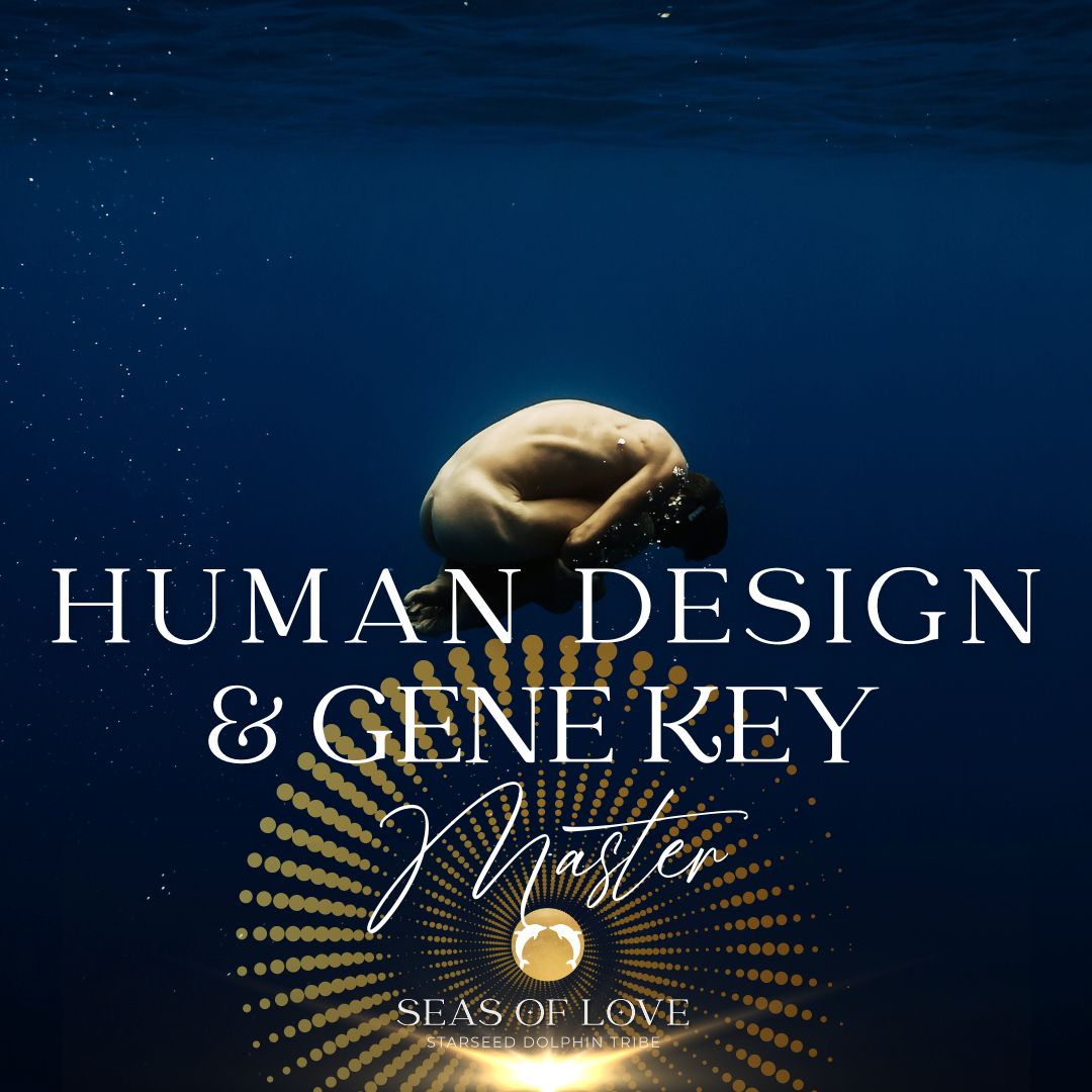 Startseite - Seas of Love - Sophie&Wanja